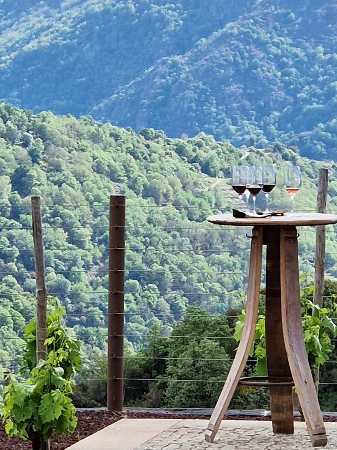 Ruta de pasarelas del Río Mao en Ribeira Sacra | Vive la Vida Roca