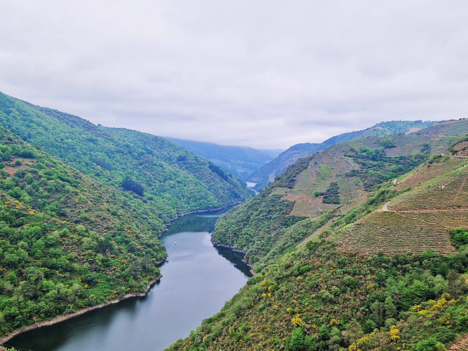Ruta de pasarelas del Río Mao en Ribeira Sacra | Vive la Vida Roca